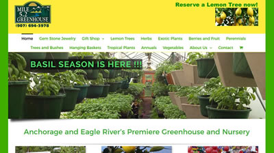 Anchorage Alaska Website Design - Web Designer Videos - Photography